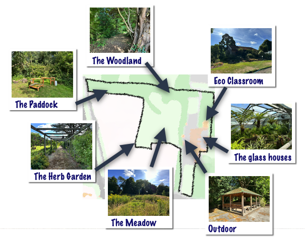 The Botanic Gardens – Playful Green Hull